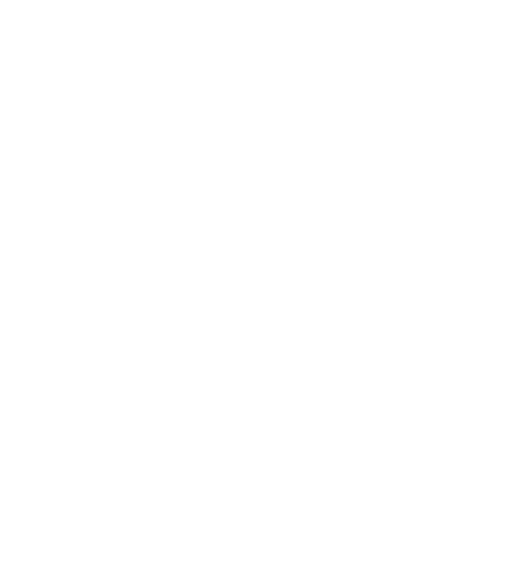 The root system. Importance and functions of the plant’s roots | DEMA ...
