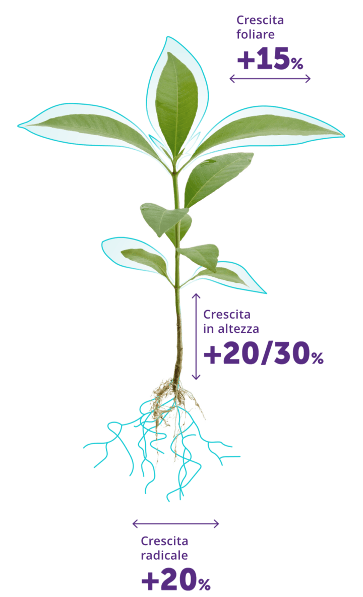 Dema Micro Granule | Innovative and sustainable | DEMA Fertilizers