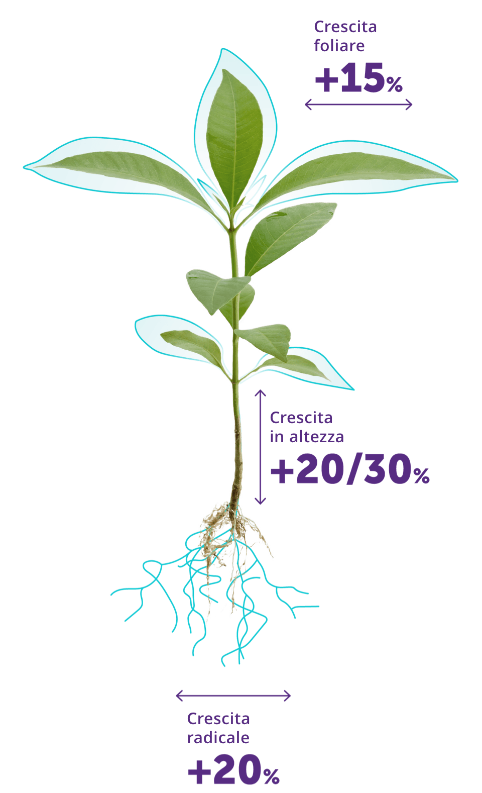 Dema Micro Granule | Innovative and sustainable | DEMA Fertilizers