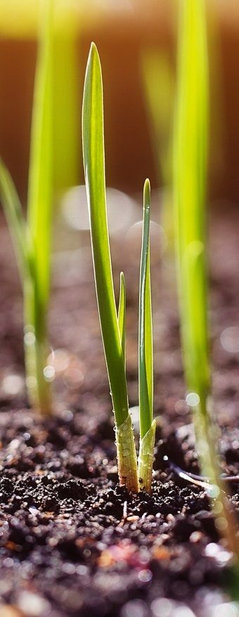 Microgranular Fertilizers | DEMA Fertilizers