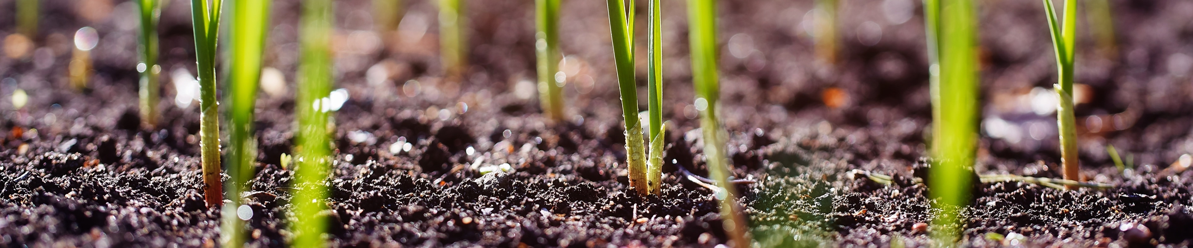 Microgranular Fertilizers | DEMA Fertilizers