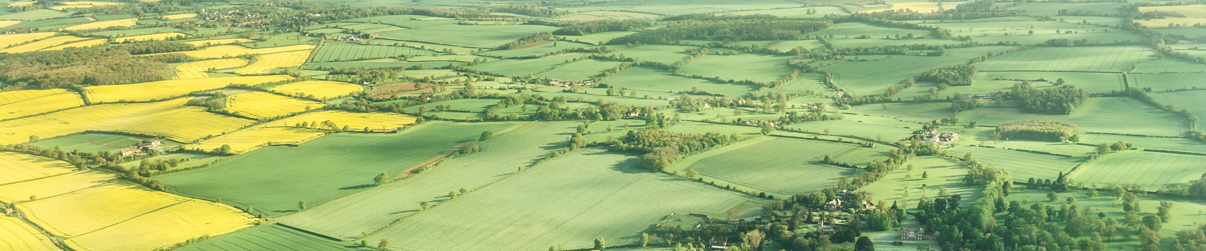 Dema Micro Granule | Innovative and sustainable | DEMA Fertilizers