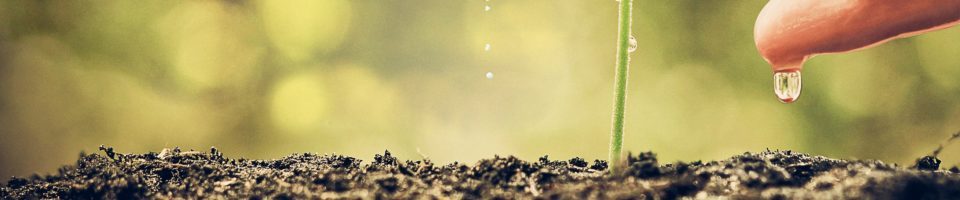 Phosphorus Fertilizer Recovery | DEMA Fertilizers