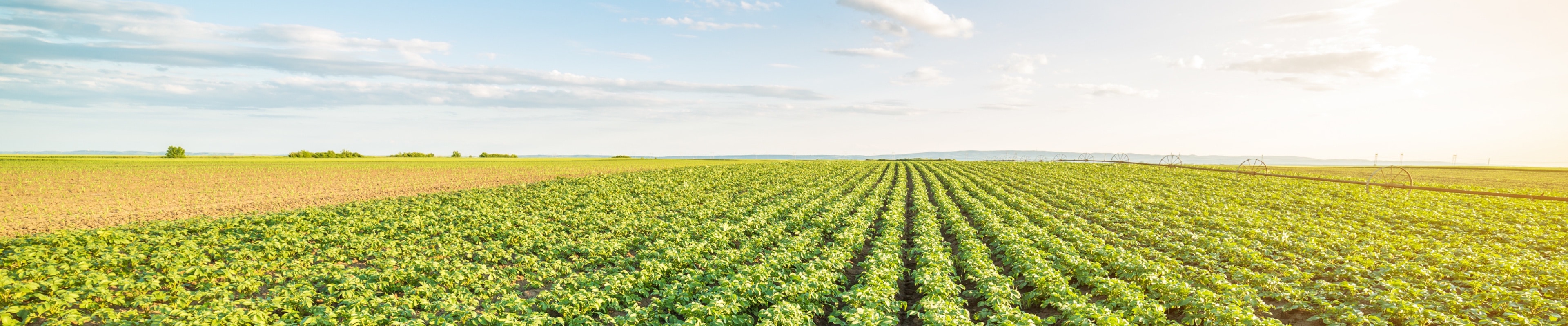 Dema Micro Granule | Innovative and sustainable | DEMA Fertilizers