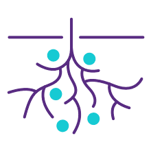 Dema Micro Granule | Innovative and sustainable | DEMA Fertilizers